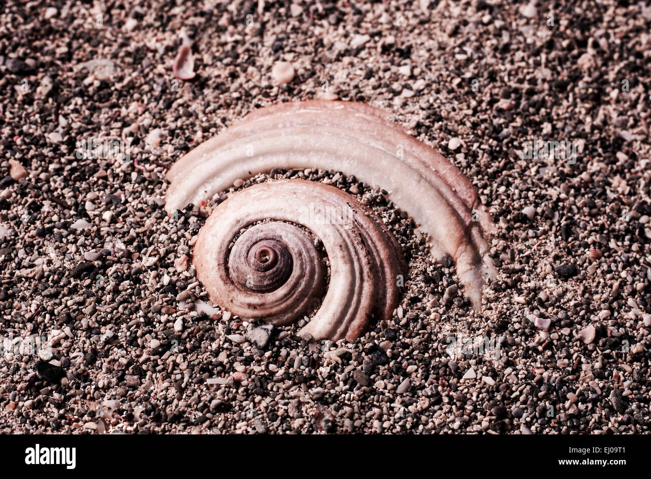 Fauna, Gramvousa, Greece, Europe, Crete, coast, coastal scenery ...