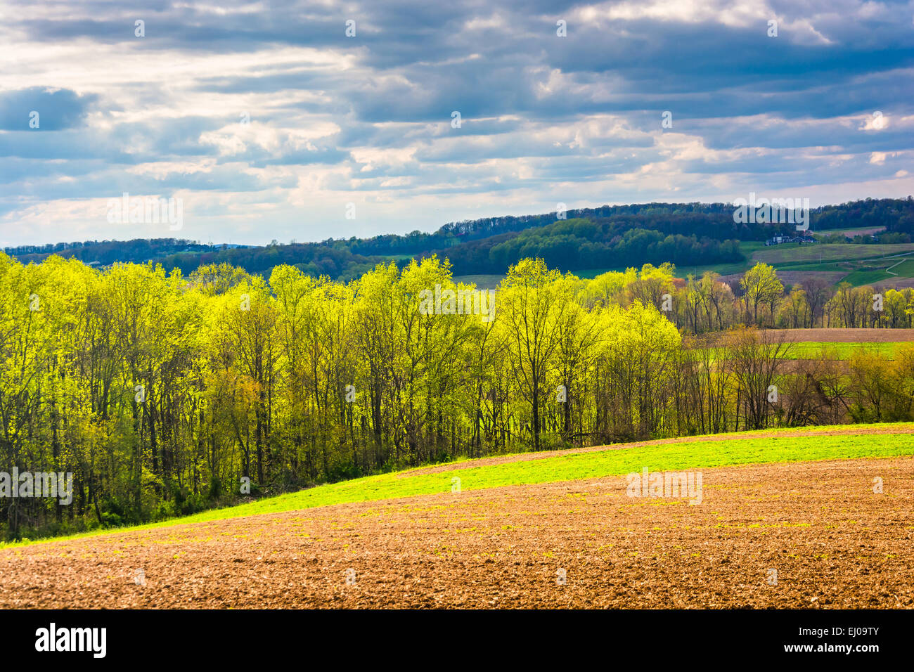 Spring color in rural York County, Pennsylvania Stock Photo - Alamy