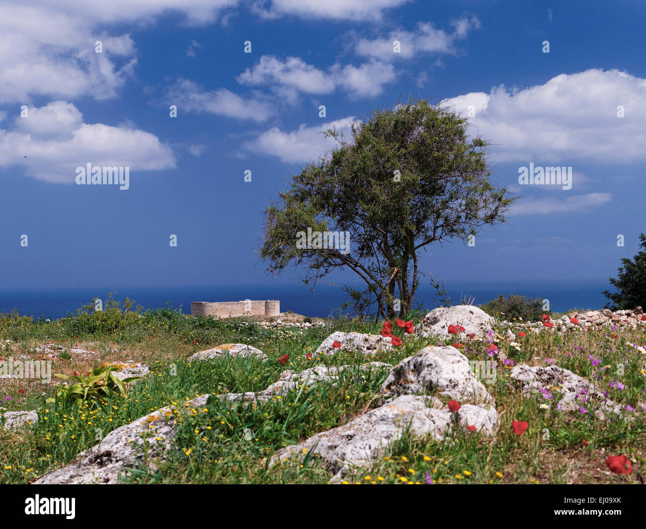 Fort spring hi-res stock photography and images - Alamy