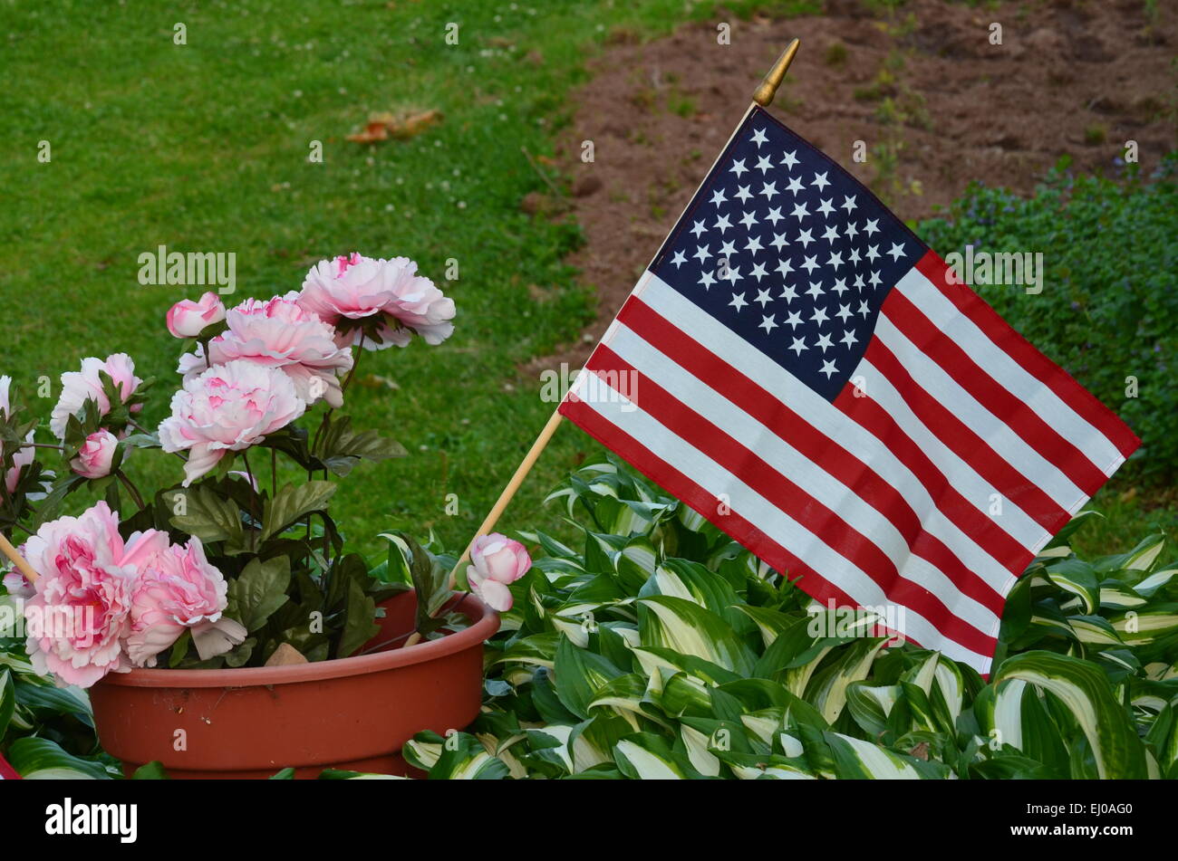 American flag flowers hi-res stock photography and images - Alamy