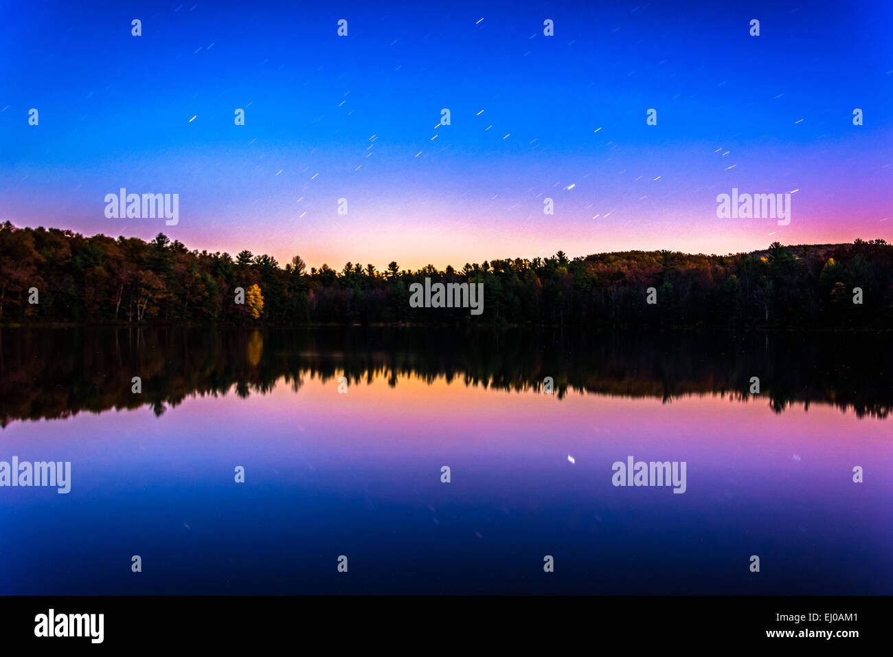 Michaux state forest hi-res stock photography and images - Alamy