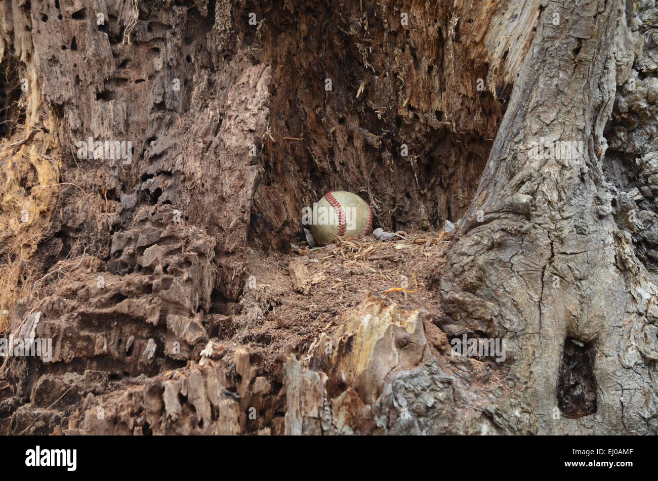 Stump ball hi-res stock photography and images - Alamy