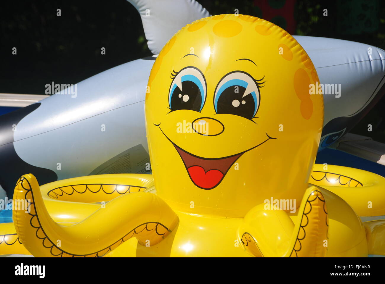 Pool toy hi-res stock photography and images - Alamy