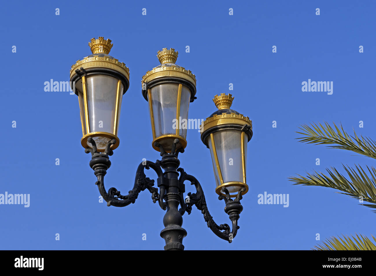 Middle East, Near East, United Arab Emirates, UAE, Sharjah, Kalba ...