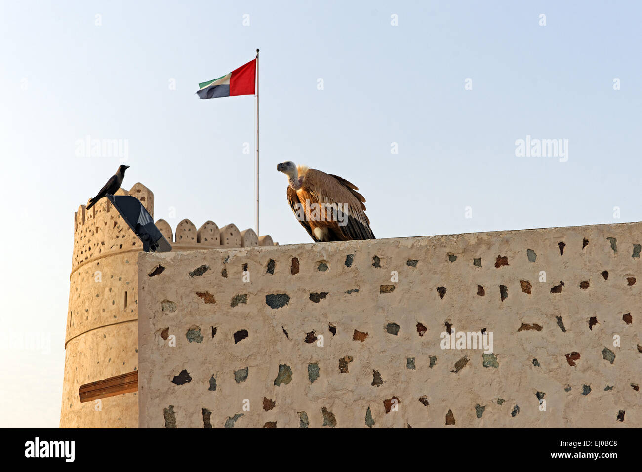 Middle East, Near East, United Arab Emirates, UAE, Sharjah, Khor Kalba ...