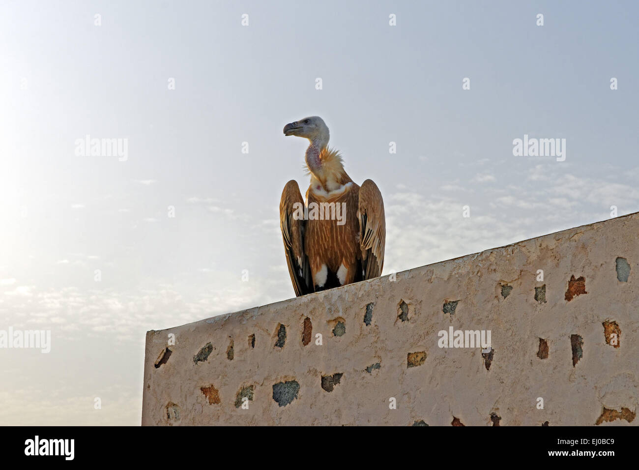 Al ghayl castle hi-res stock photography and images - Alamy
