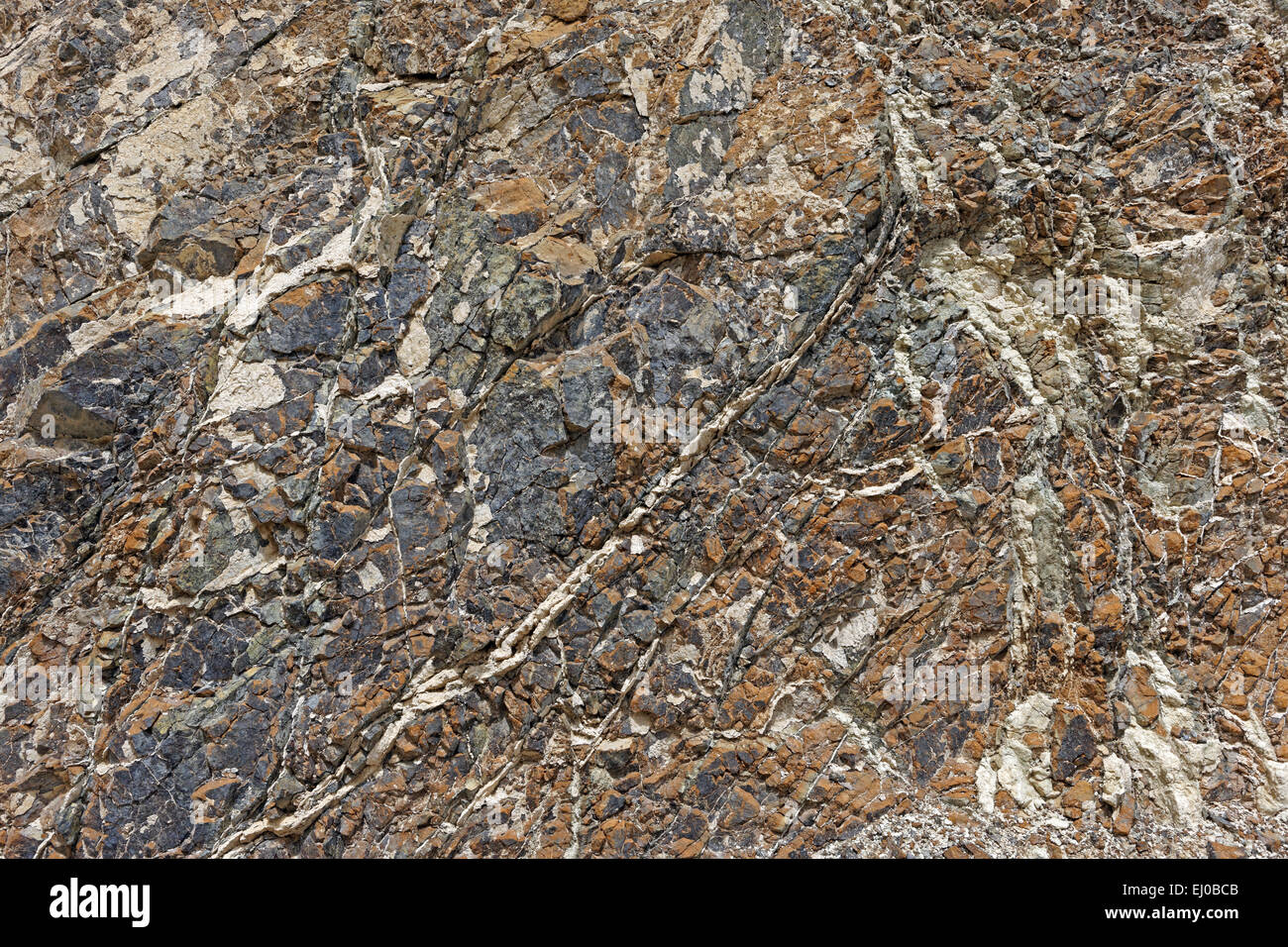 Middle East, Near East, United Arab Emirates, UAE, Sharjah, Bithnah ...