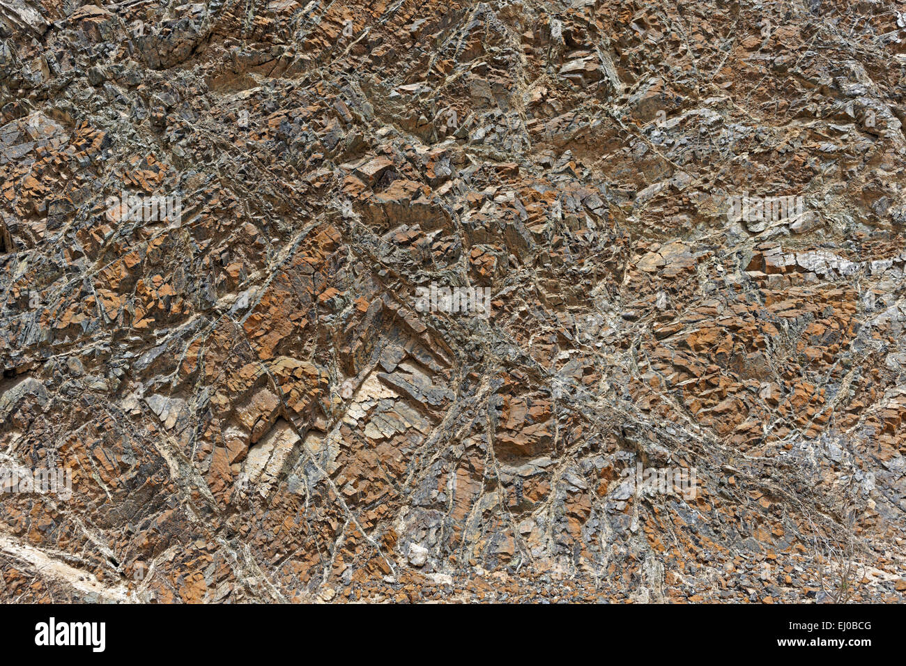 Middle East, Near East, United Arab Emirates, UAE, Sharjah, Bithnah ...