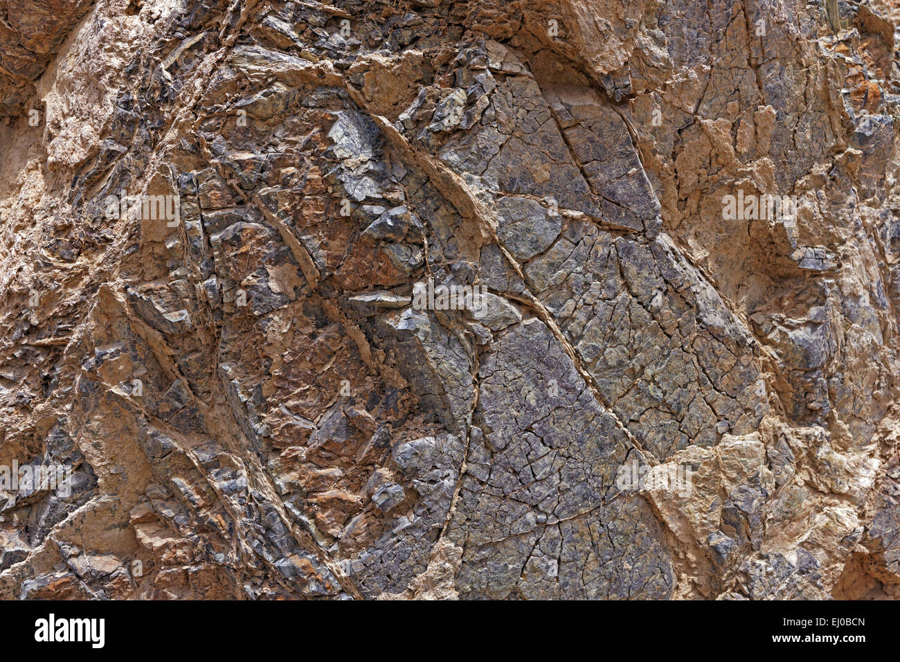 Middle East, Near East, United Arab Emirates, UAE, Sharjah, Bithnah ...