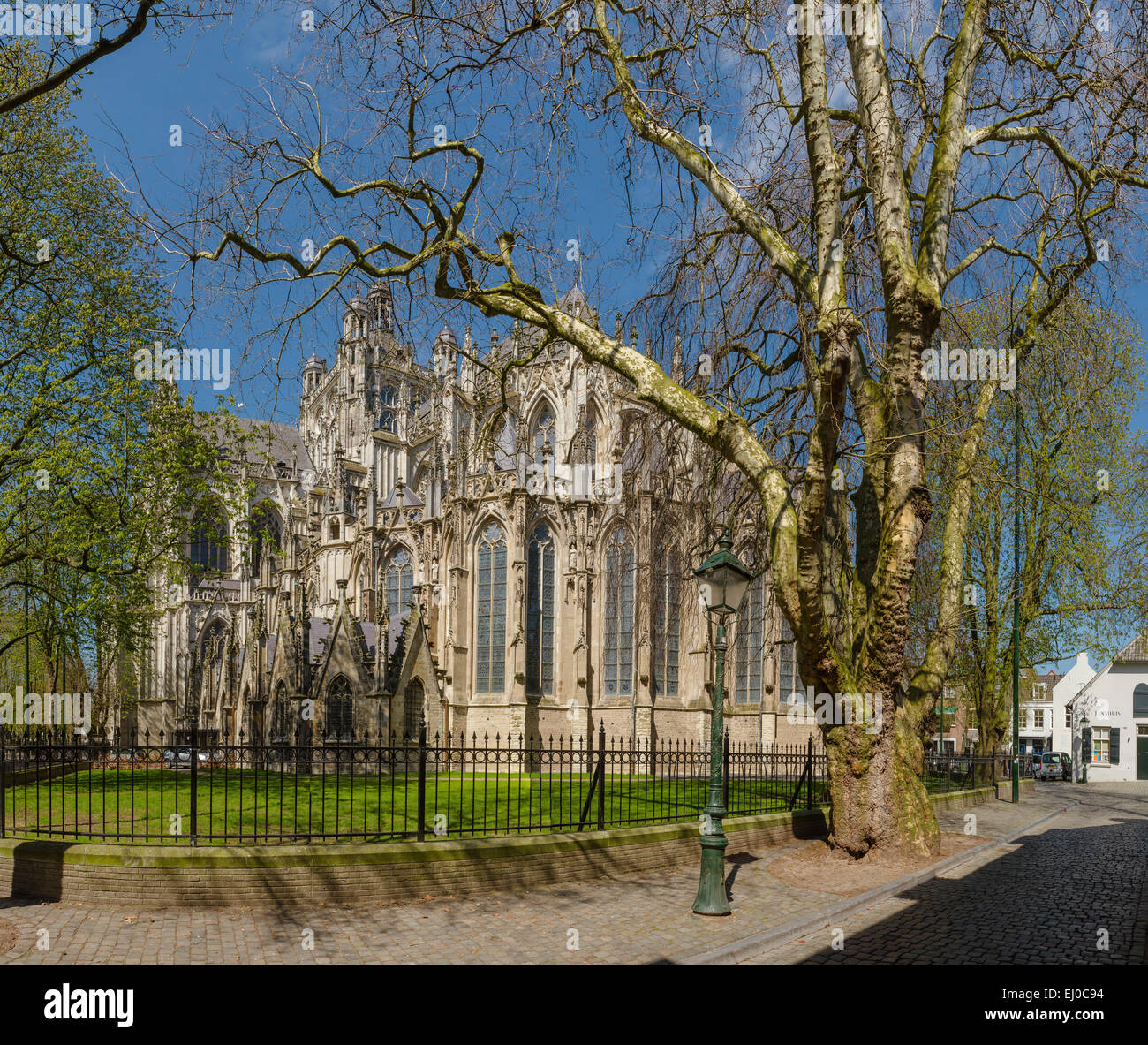 s-Hertogenbosch, Den Bosch, Netherlands, Holland, Europe, church ...