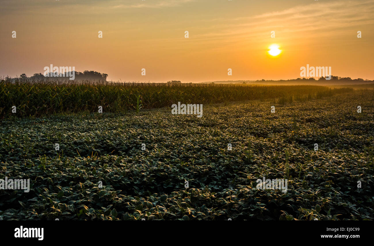 Sunrise over farm fields in rural York County, Pennsylvania Stock Photo ...