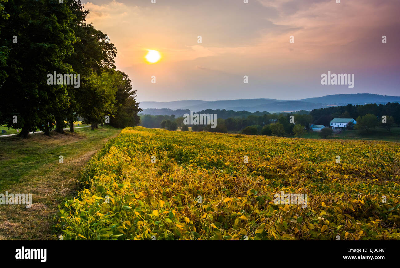 Sunset over field near hi-res stock photography and images - Alamy