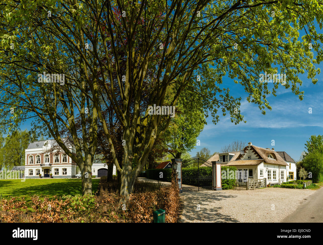 Rumpt, Netherlands, Holland, Europe, house, forest, wood, trees, spring ...
