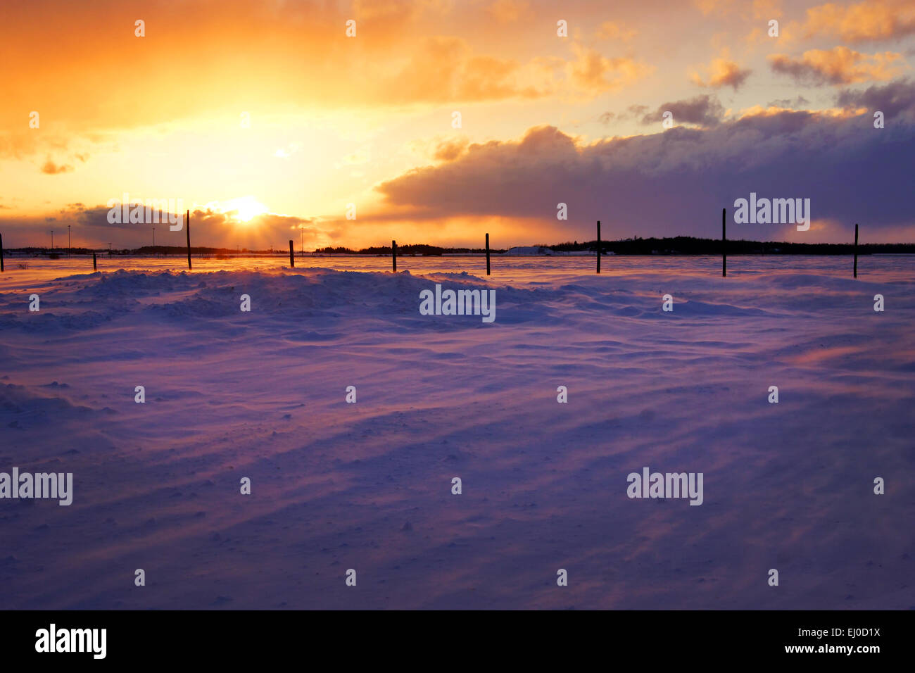 Cold and windy winter day hi-res stock photography and images - Alamy