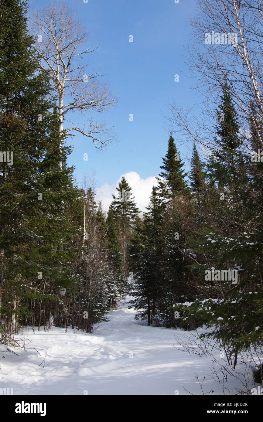 Snowmobile canada hi-res stock photography and images - Alamy