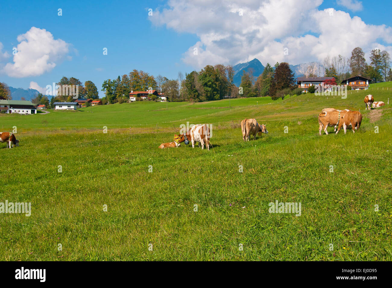 Europe, Germany, Bavaria, Upper Bavaria, custom, tradition ...
