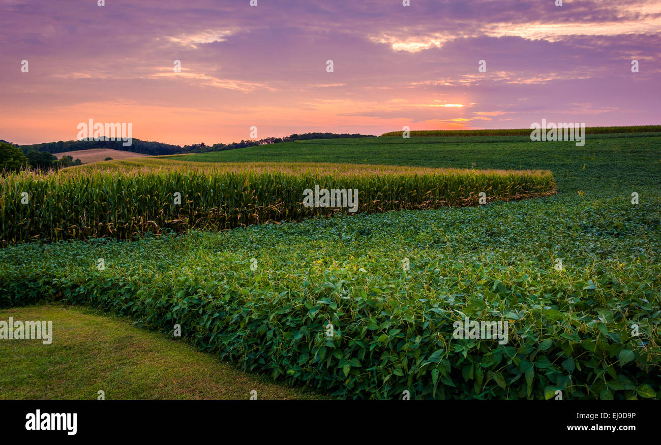 Sunset sky over farm field in rural York County, Pennsylvania Stock ...