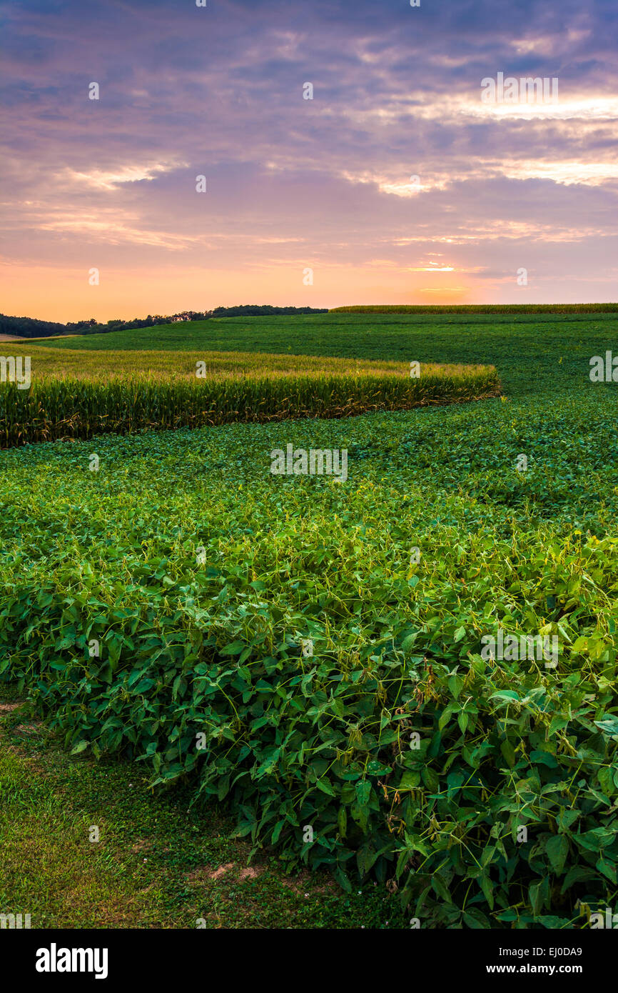 Sunset sky over farm fields in rural York County, Pennsylvania Stock ...