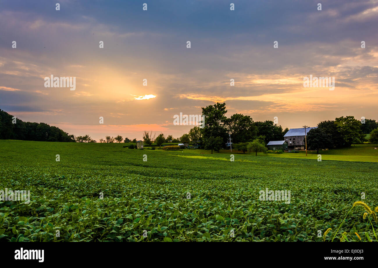 Sunset sky over farm fields in rural York County, Pennsylvania Stock ...