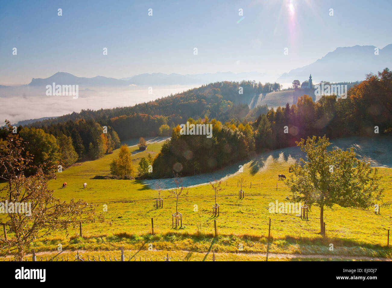 Europe, Germany, Bavaria, Upper Bavaria, Piding, Berchtesgaden country ...