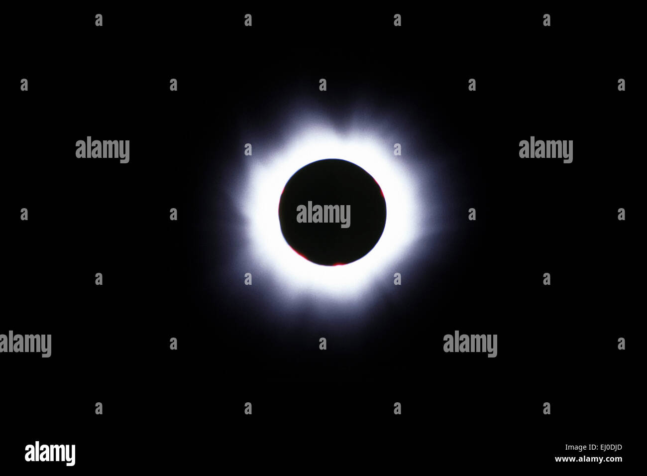 sun, dark, black, solar eclipse, total solar eclipse, disc, Corona ...