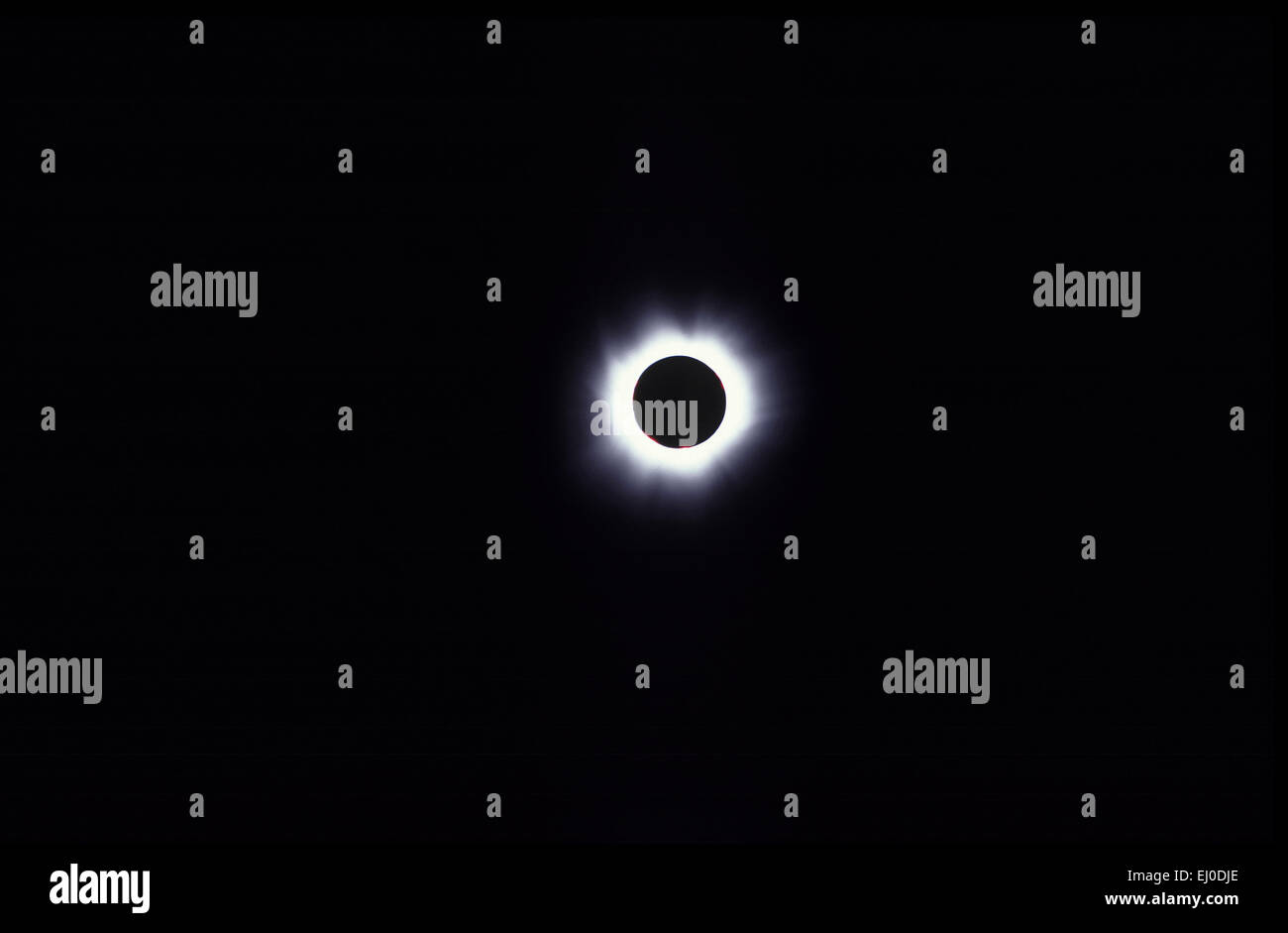 sun, dark, black, solar eclipse, total solar eclipse, disc, Corona ...
