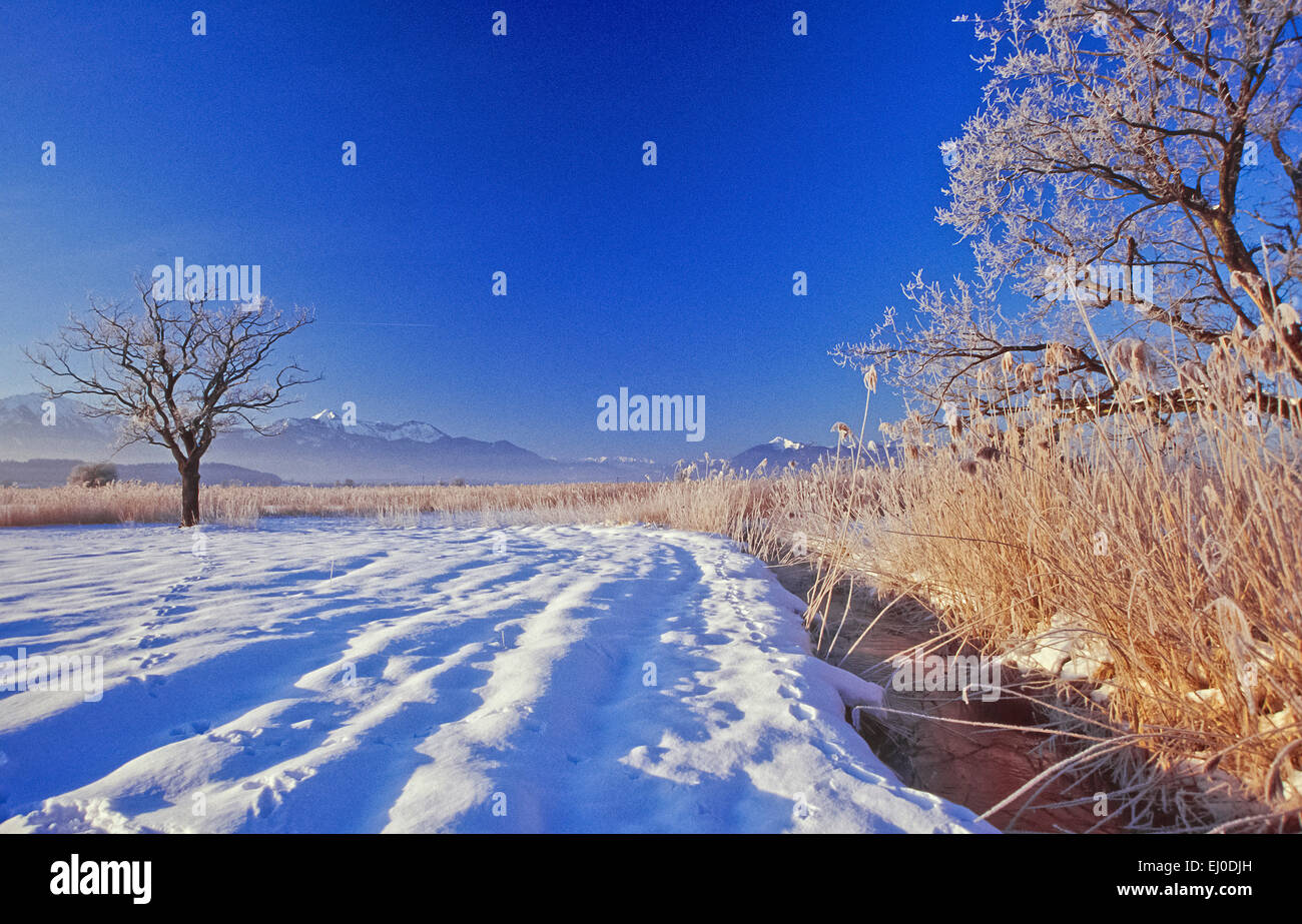Europe, Germany, Bavaria, Upper Bavaria, Chiemgau, sun, mood, blue sky ...