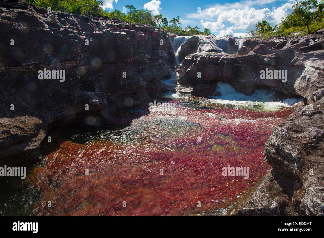River, Flow, brook, body of water, nature, water, South America, Latin ...