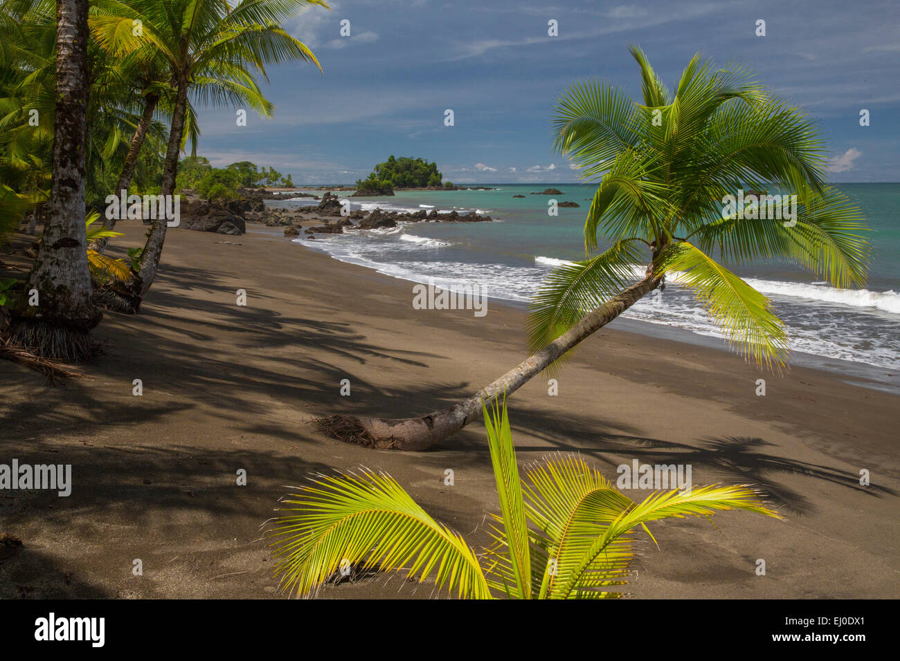 South America, Latin America, Colombia, sea, nature, palms, beach ...