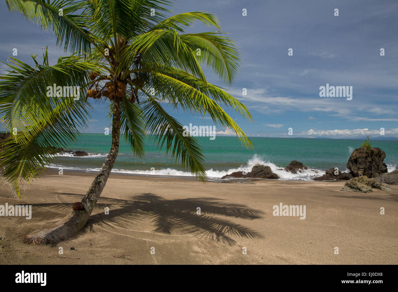 South America, Latin America, Colombia, sea, nature, palms, beach ...