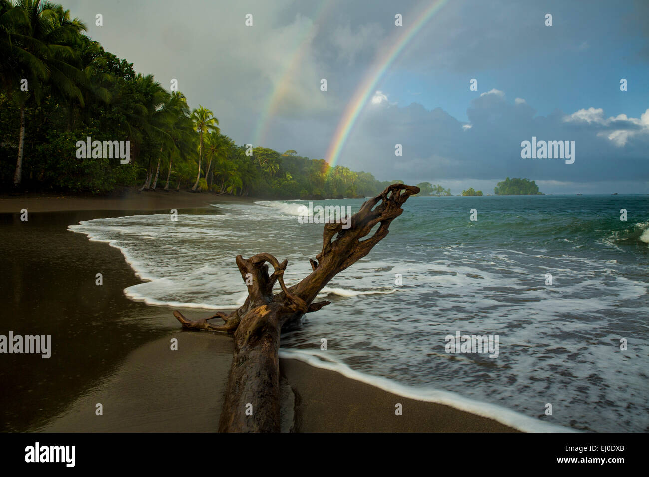 South America, Latin America, Colombia, sea, nature, palms, beach ...