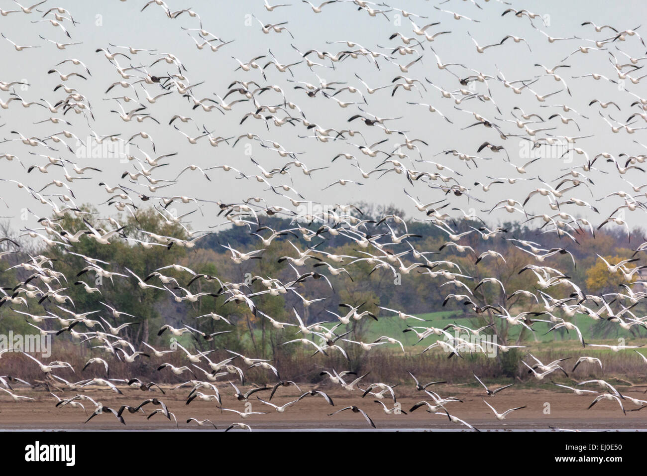 Hagerman national wildlife hi-res stock photography and images - Alamy