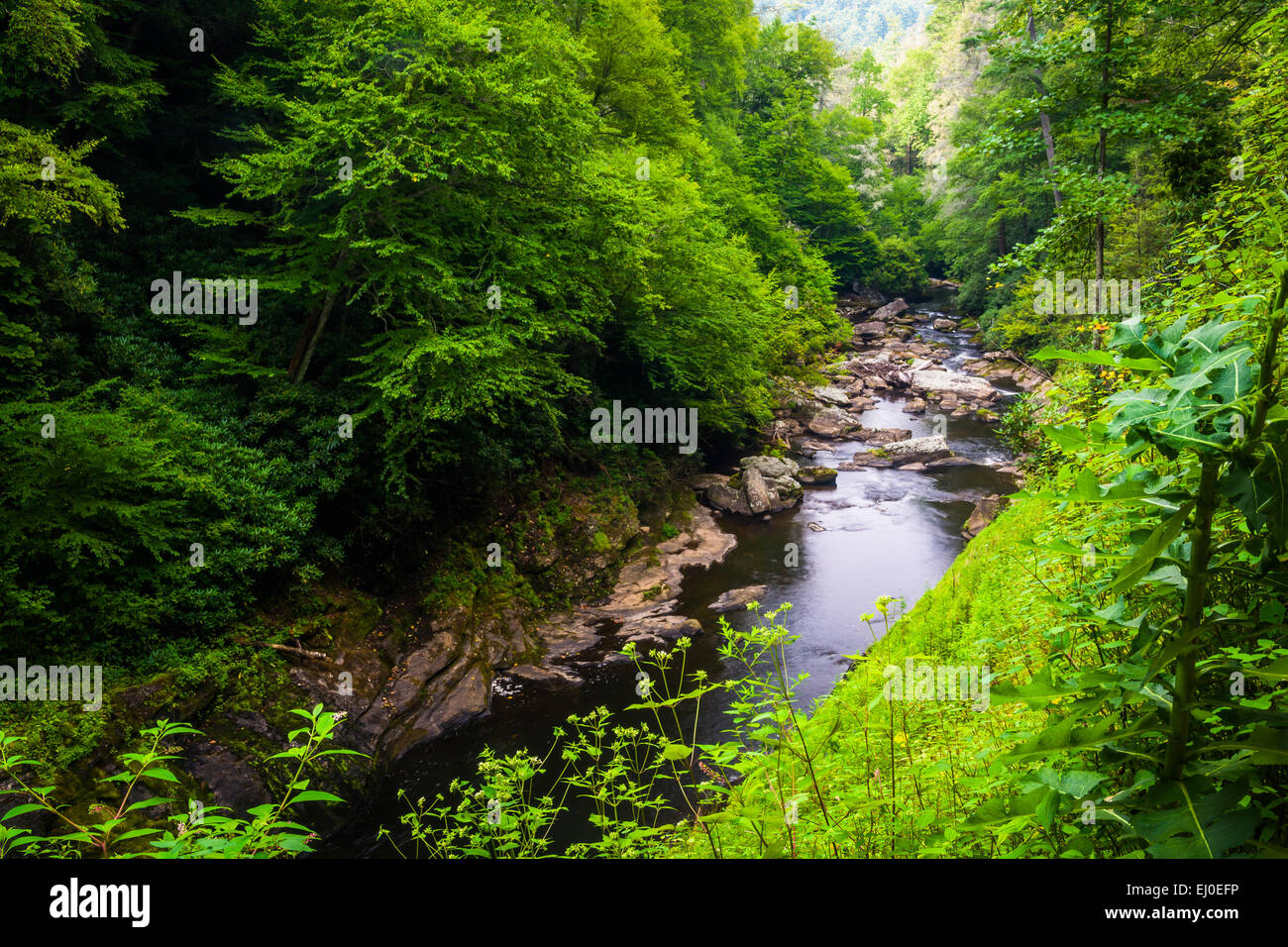 The Cullasaja River below Dry Falls, Nantahala National Forest, North ...