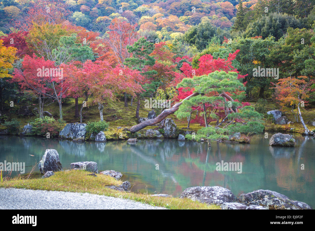 Japan, Asia, Kansai, Kyoto, Japanese, Landscape, Temple, Tenryu, Tenryu ...