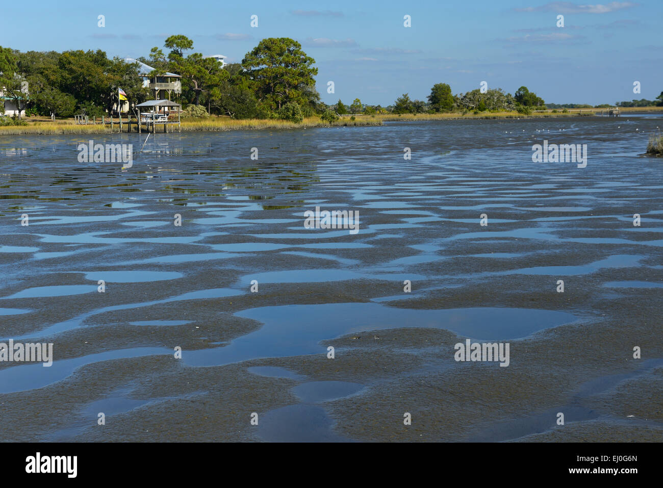 USA, Florida, Levy County, Cedar Key Stock Photo - Alamy