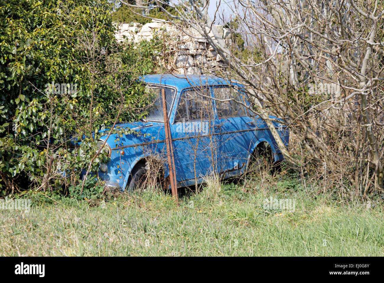 abandoned old blue car in yard Stock Photo - Alamy