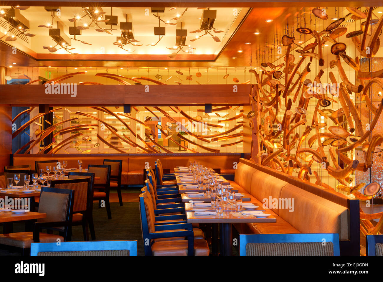 Canyon ranch miami beach hi-res stock photography and images - Alamy