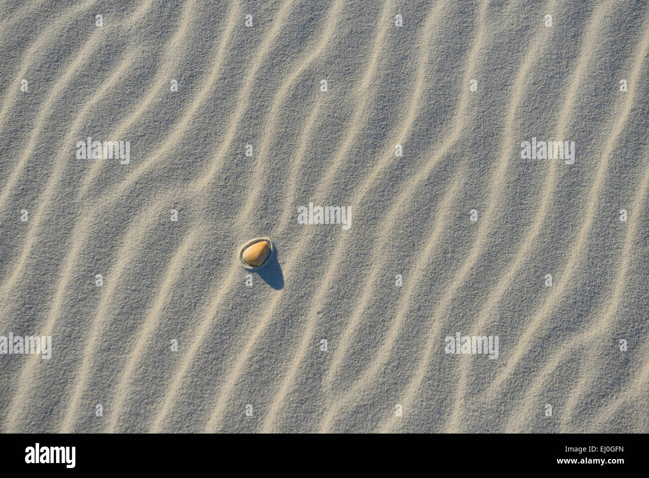 USA, Florida, Franklin County, Gulf of Mexico, Apalachicola, St. George ...