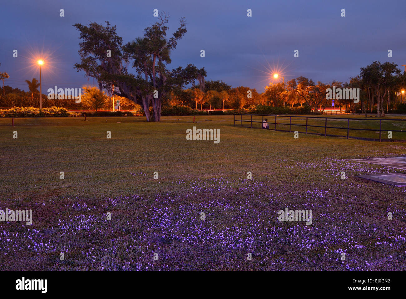 USA, Florida, Indian River County, Vero Beach, park at night Stock ...