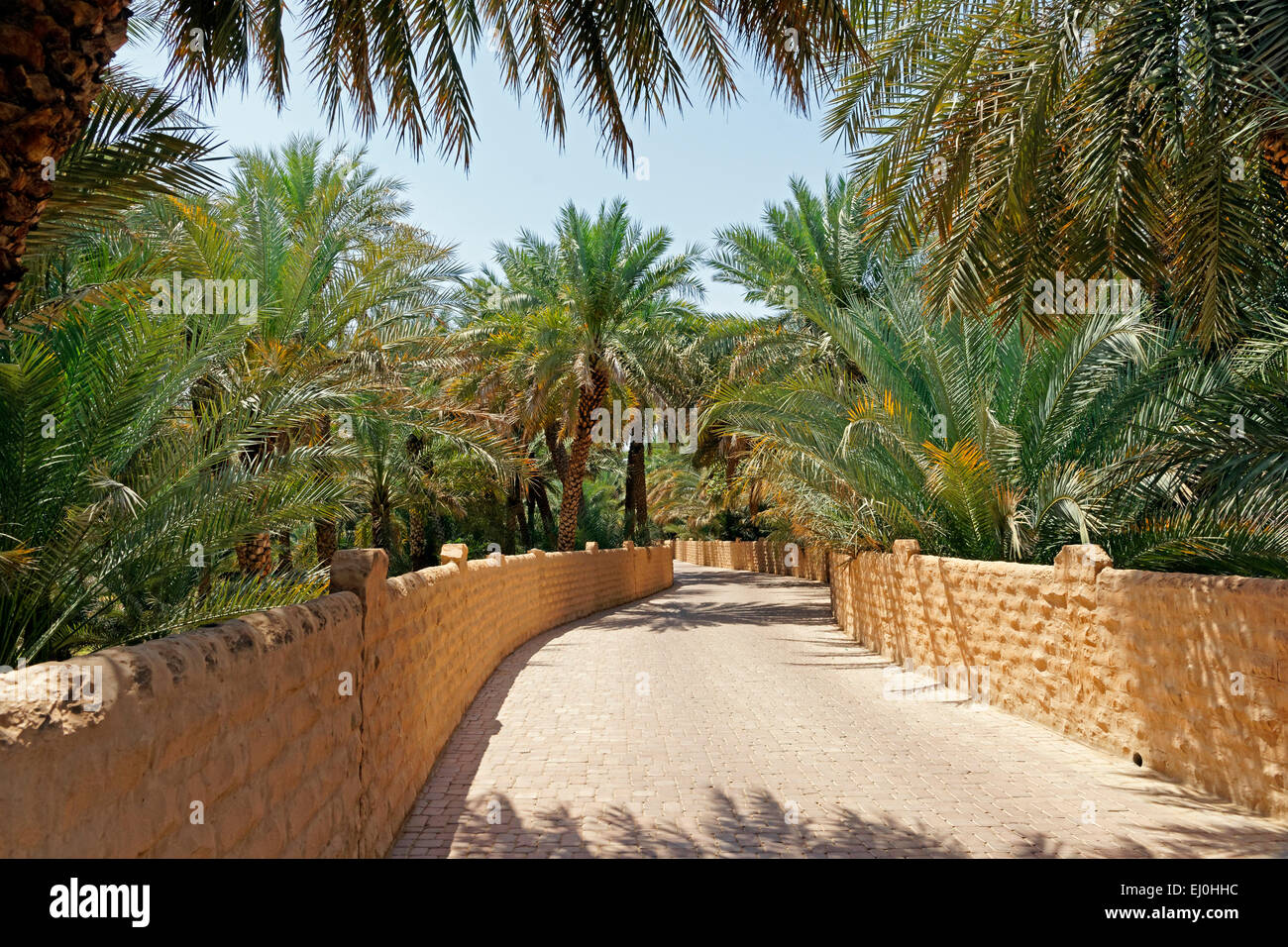 Asia, United Arab Emirates, UAE, Abu Dhabi, Al Ain, 1st Street, Al Ain ...