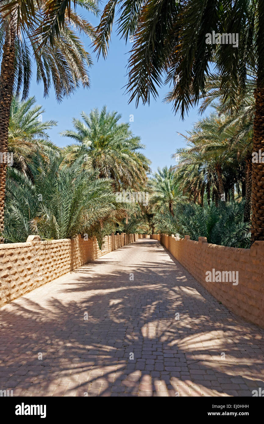 Al ain gardens hi-res stock photography and images - Alamy