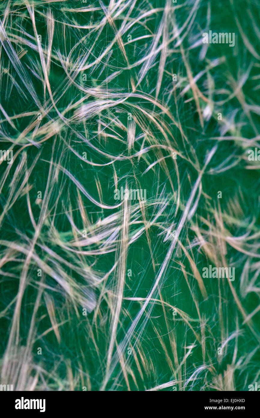Close up view of fiber glass abstract texture background Stock Photo ...