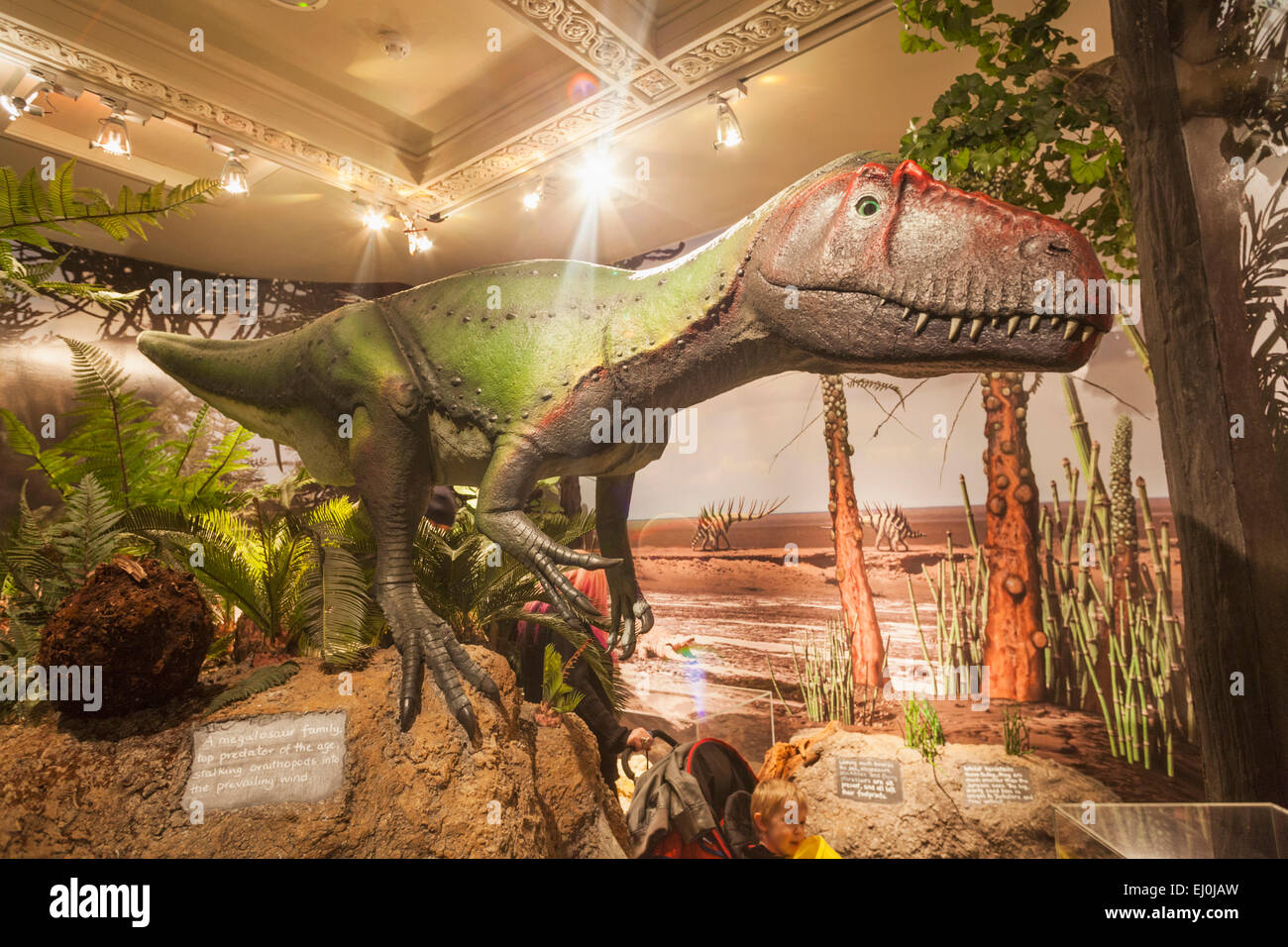 England, Yorkshire, Scarborough, Scarborough Museum, Exhibit of ...