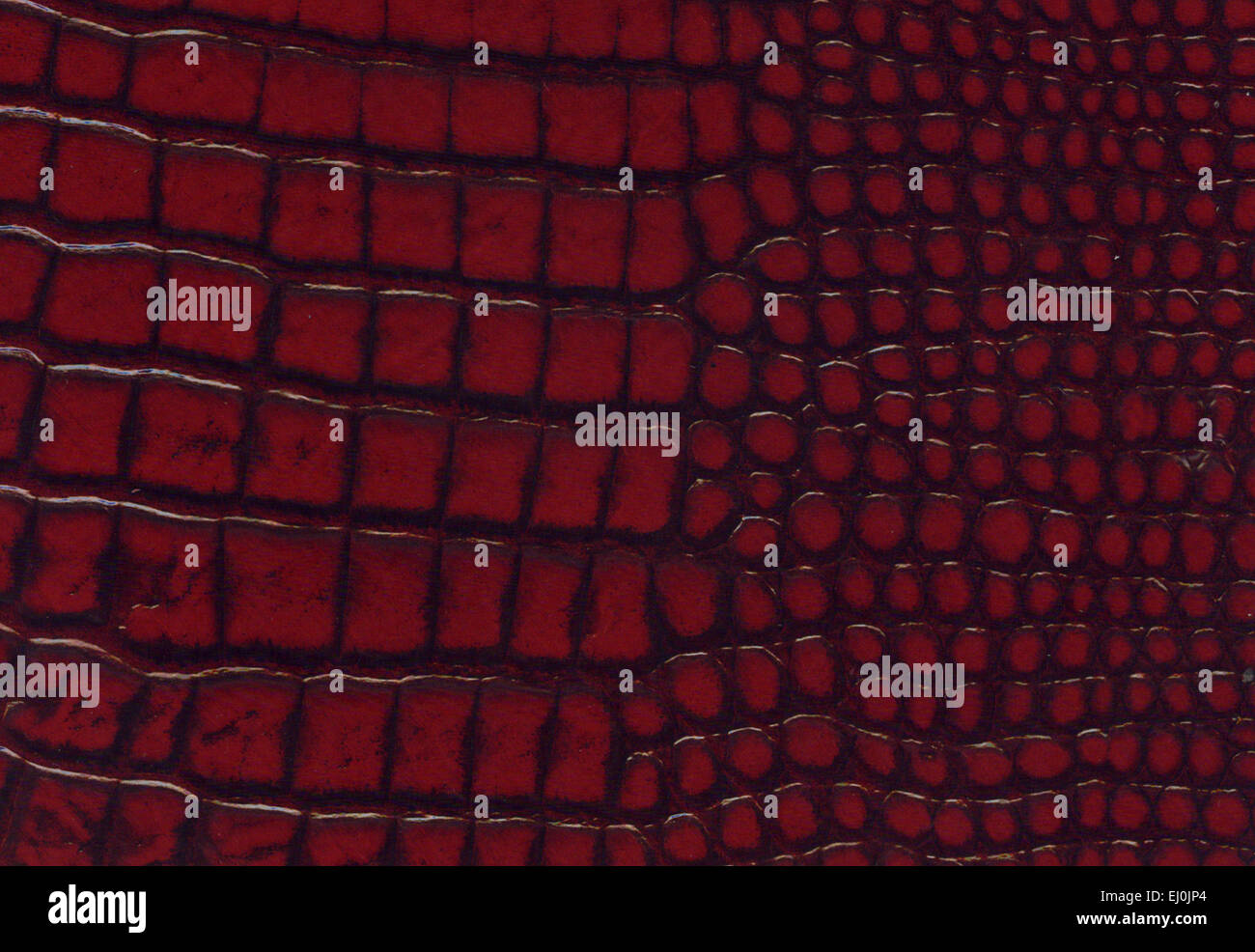 crocodile red leather texture Stock Photo - Alamy