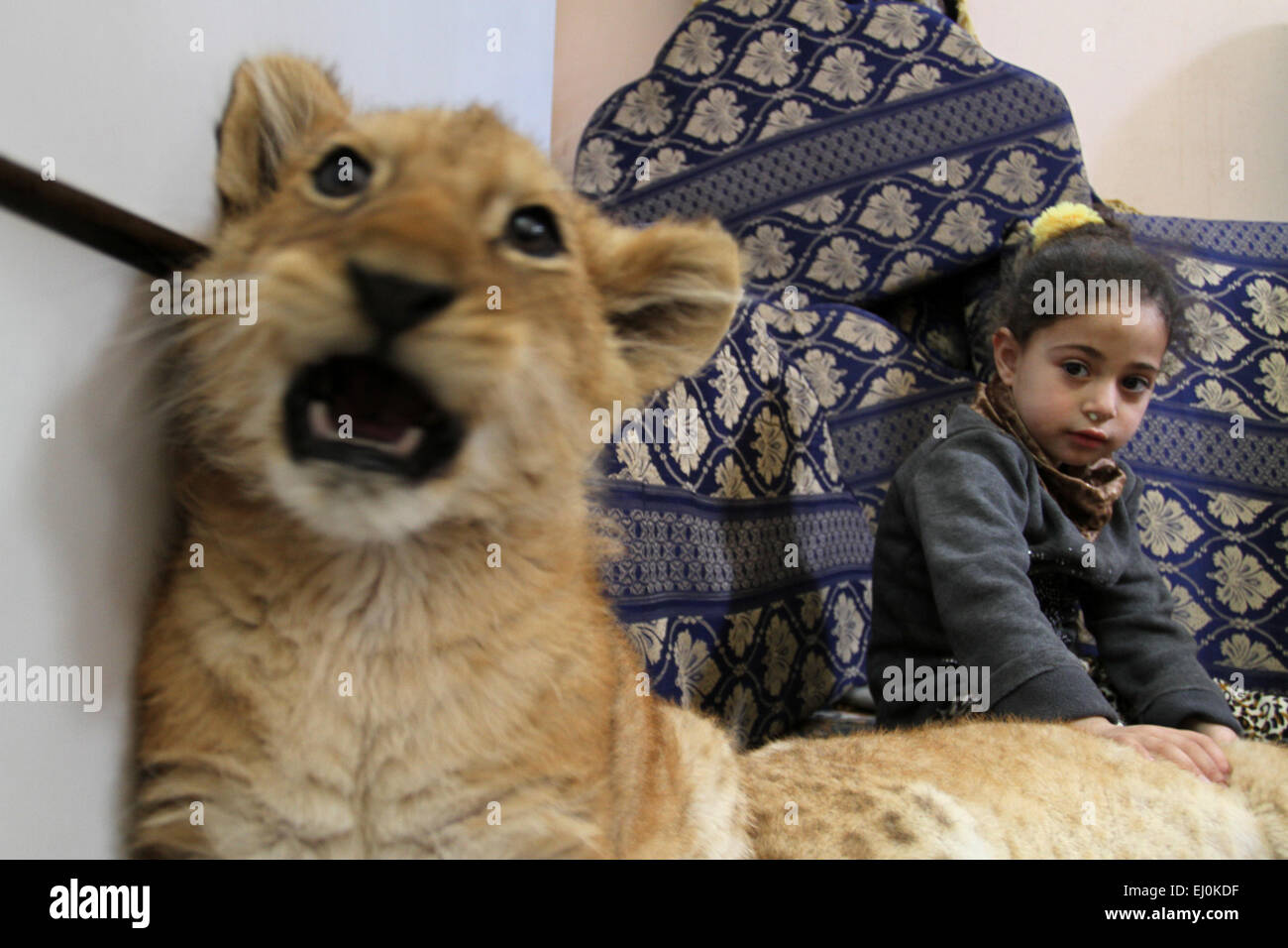 Rafah, Gaza Strip, Palestinian Territory. 19th Mar, 2015. The ...