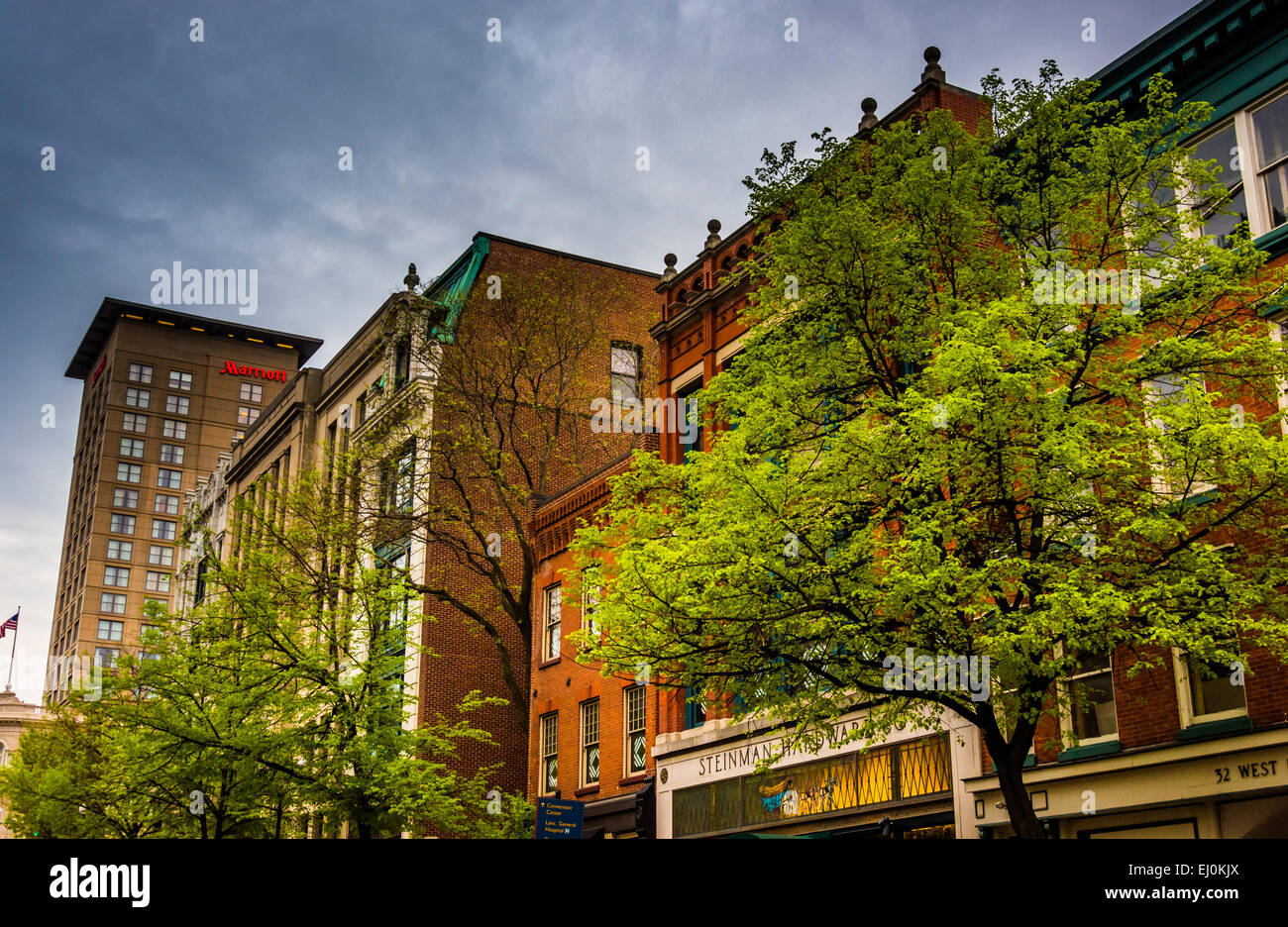 Trees and buildings in downtown Lancaster, Pennsylvania Stock Photo - Alamy