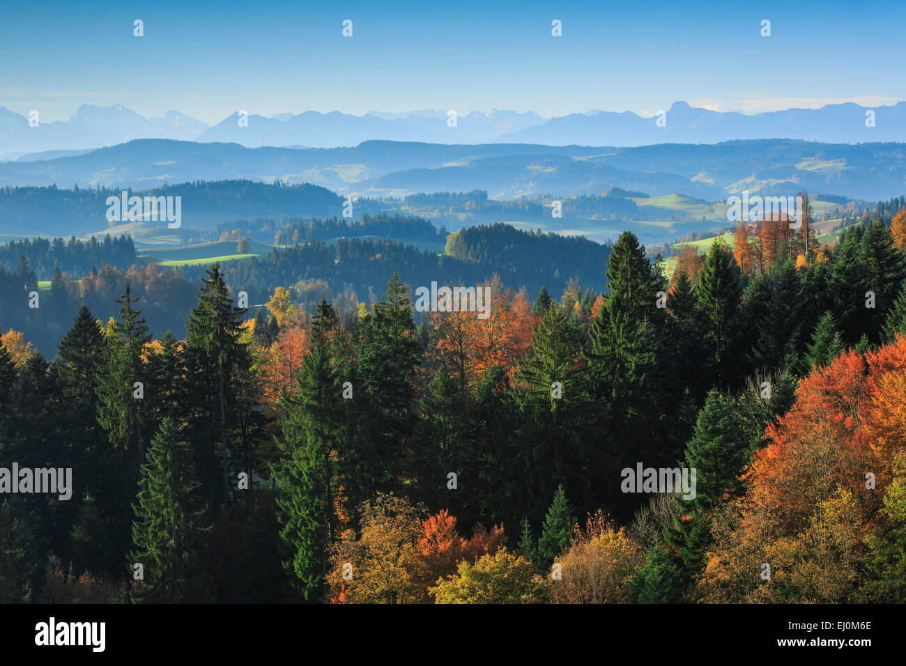 Alps, Alpine, panorama, mountain, mountains, mountain panorama, canton ...