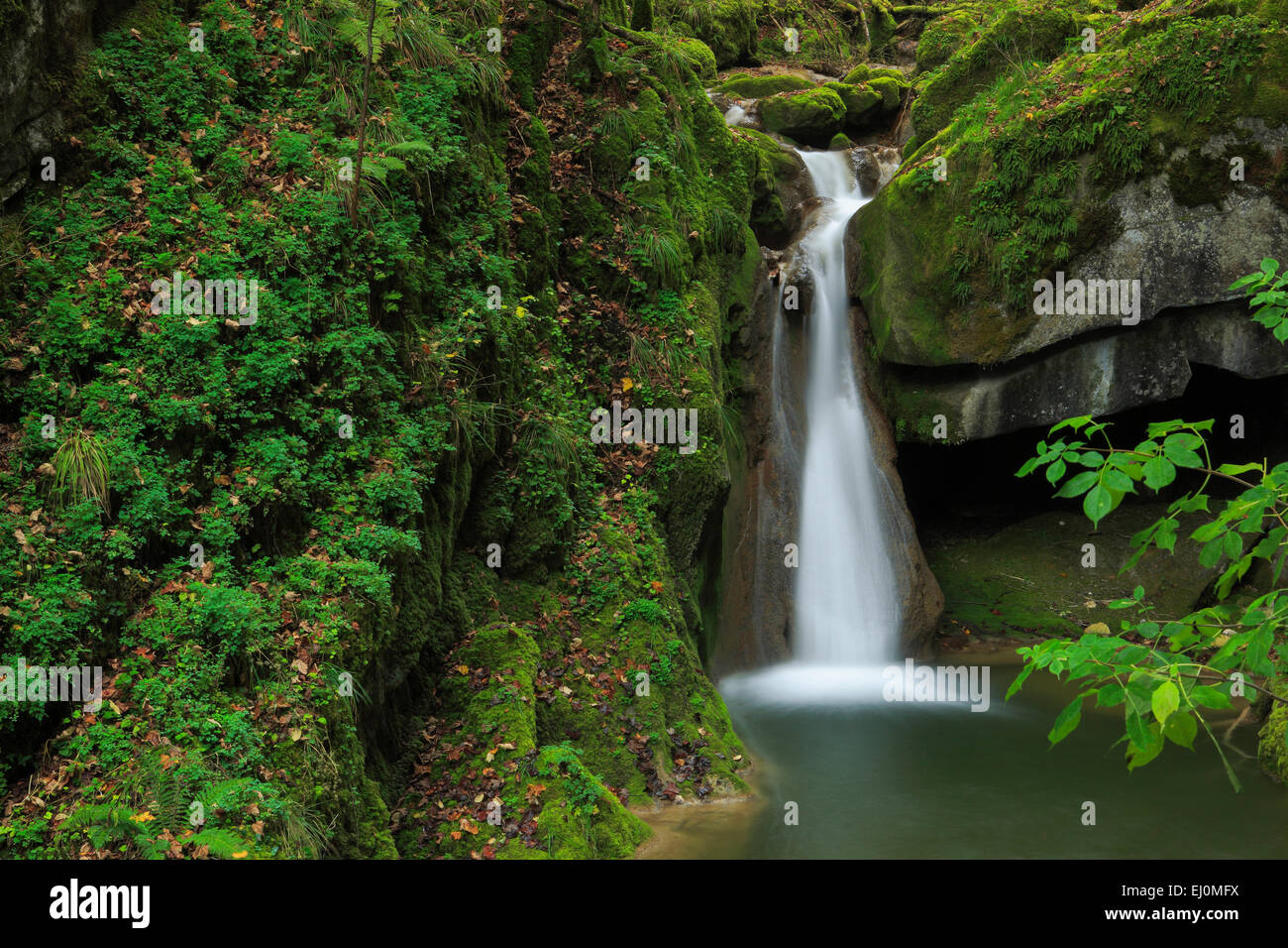 Creek, stream course, fall, Cliff, rock, flow, river, flow, yellow ...