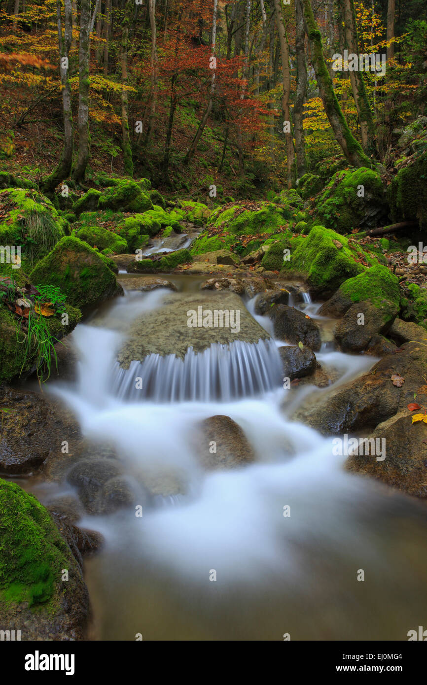 Creek, stream course, fall, Cliff, rock, flow, river, flow, yellow ...