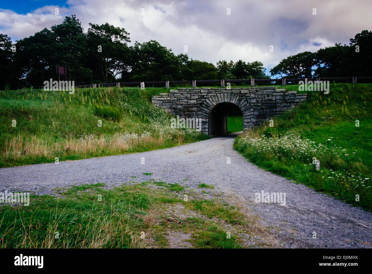Tunnel on a trail at Moses Cone Park, along the Blue Ridge Parkway in ...